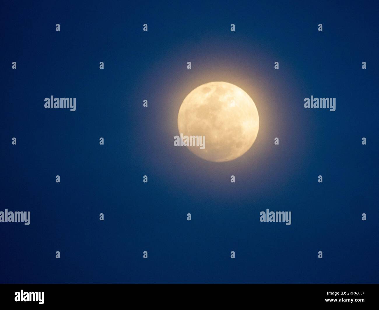 Once in a Blue Supermoon, full moon rising on a dark blue sky for the ...