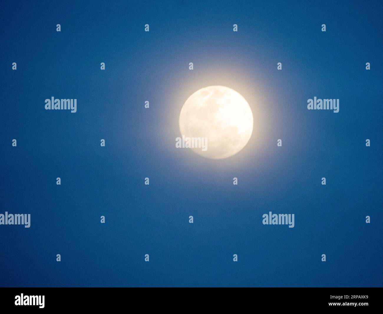 Once in a Blue Supermoon, full moon rising on a dark blue sky for the ...
