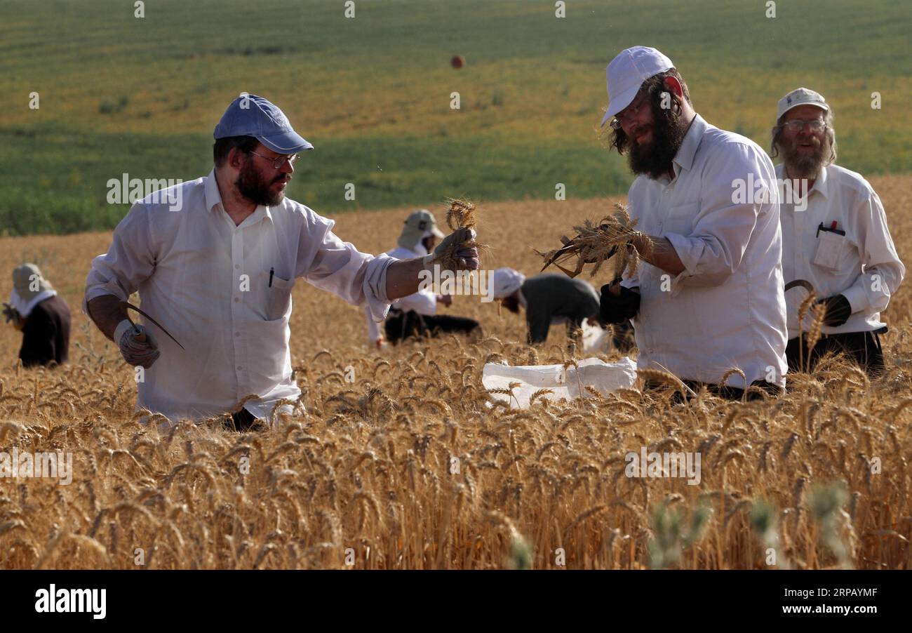 Israel rechovot ultra orthodox hi-res stock photography and images - Alamy