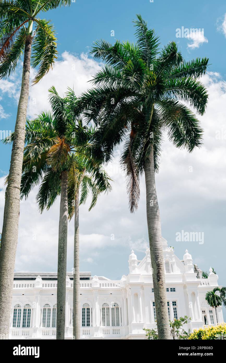 Penang tropical tree hi-res stock photography and images - Alamy
