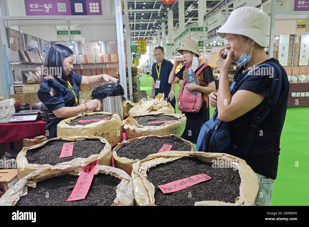 The 8th China (Dalian) International Tea Industry Expo kicks off in ...