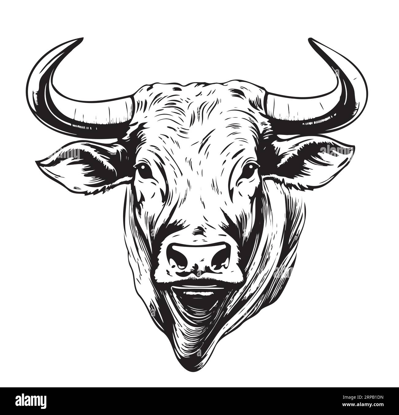 Head of bull logo sketch hand drawn Vector Stock Vector Image & Art - Alamy
