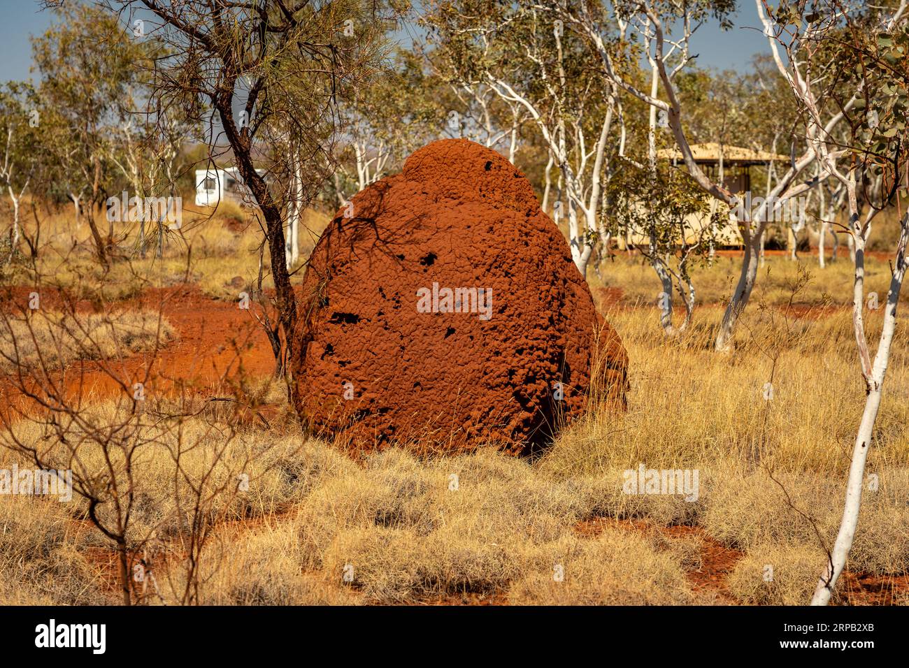 Red giant termite hill in Karijini National Park, Western Australia ...