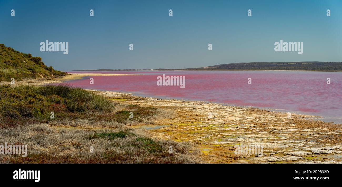 Hutt Lagoon Pink Lake in Western Australia Stock Photo - Alamy