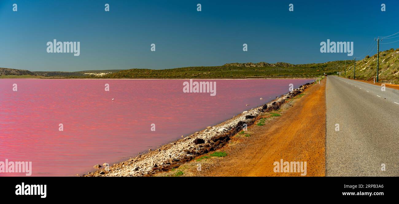 Hutt Lagoon Pink Lake in Western Australia Stock Photo - Alamy