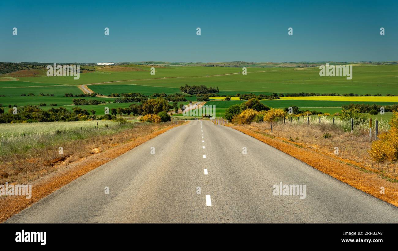 Asphalt road through wheat hi-res stock photography and images - Alamy