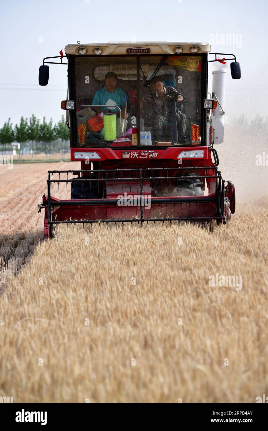 (190527) -- ZHENGZHOU, May 27, 2019 (Xinhua) -- Farmers operate a ...