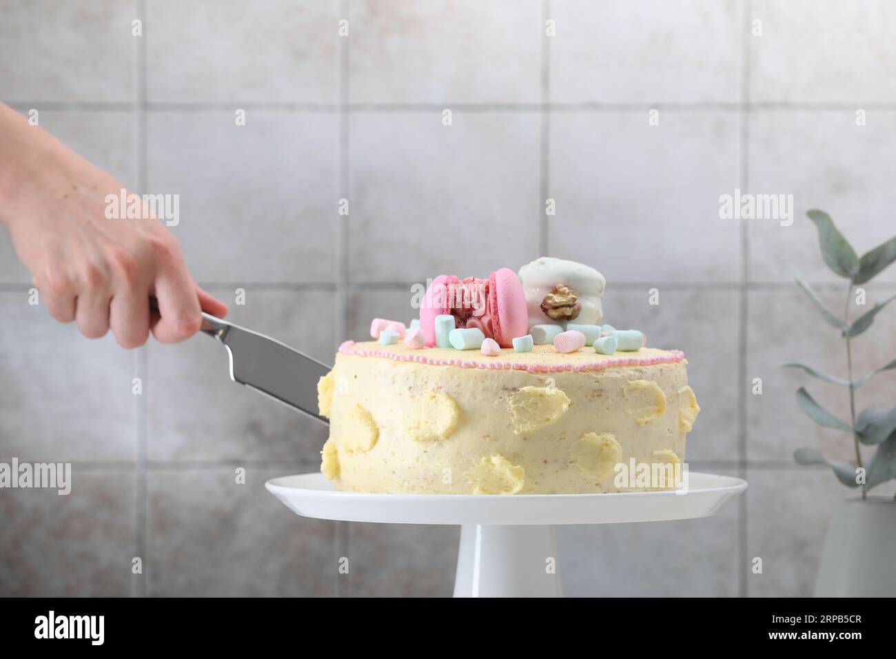 Woman cutting delicious cake decorated with macarons and marshmallows ...