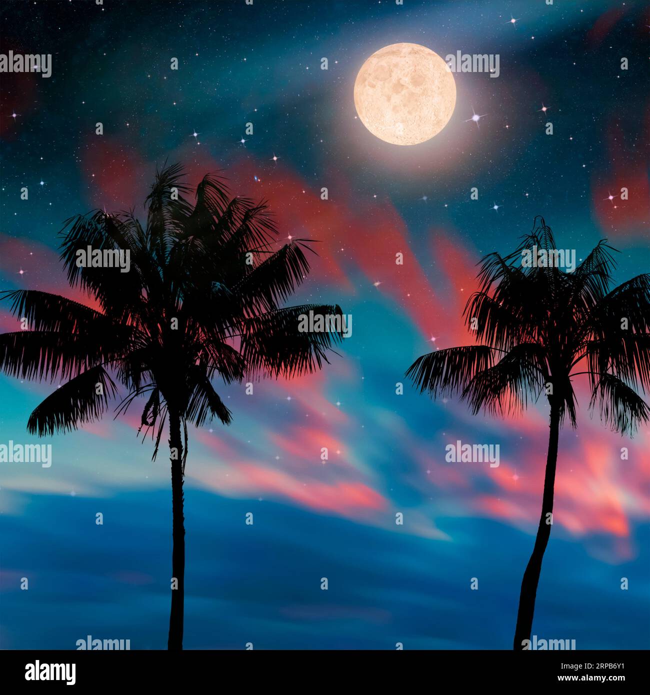 Tropical night landscape hi-res stock photography and images - Alamy