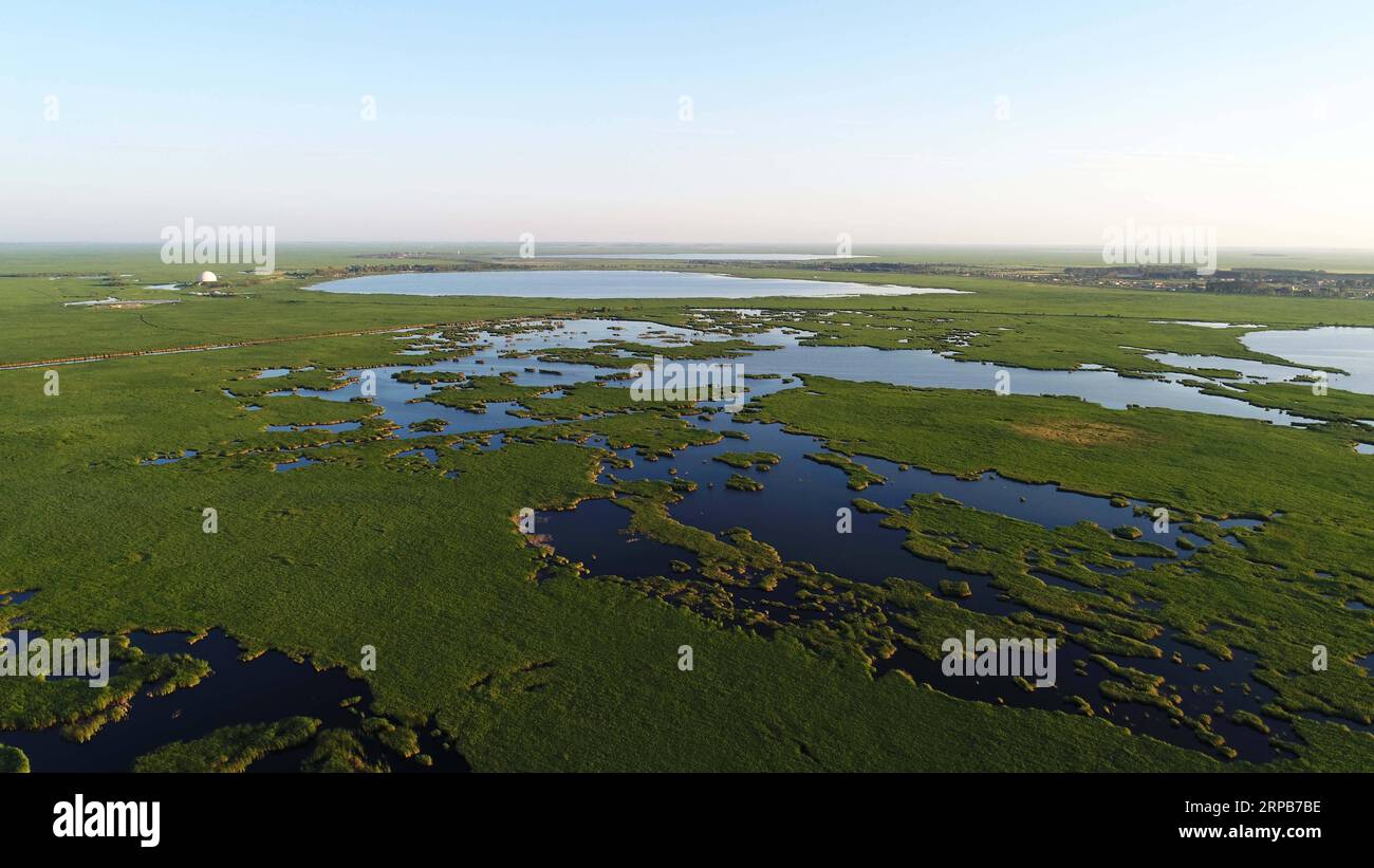 Heilongjiang zhalong national nature reserve hi-res stock photography ...