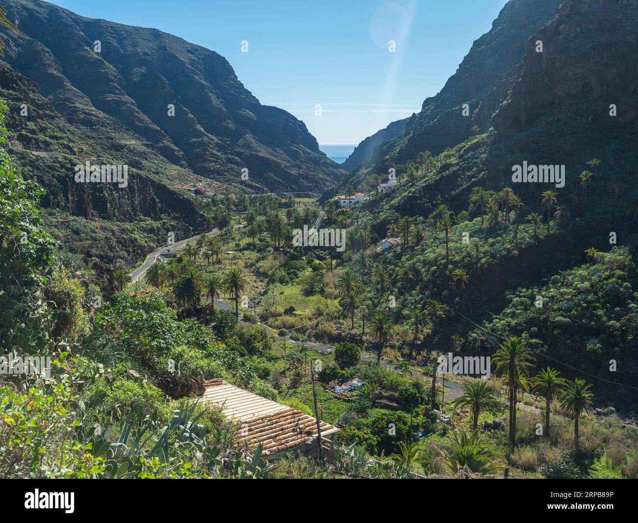 view of village El Cabezo in green valley with palm trees, traditional ...