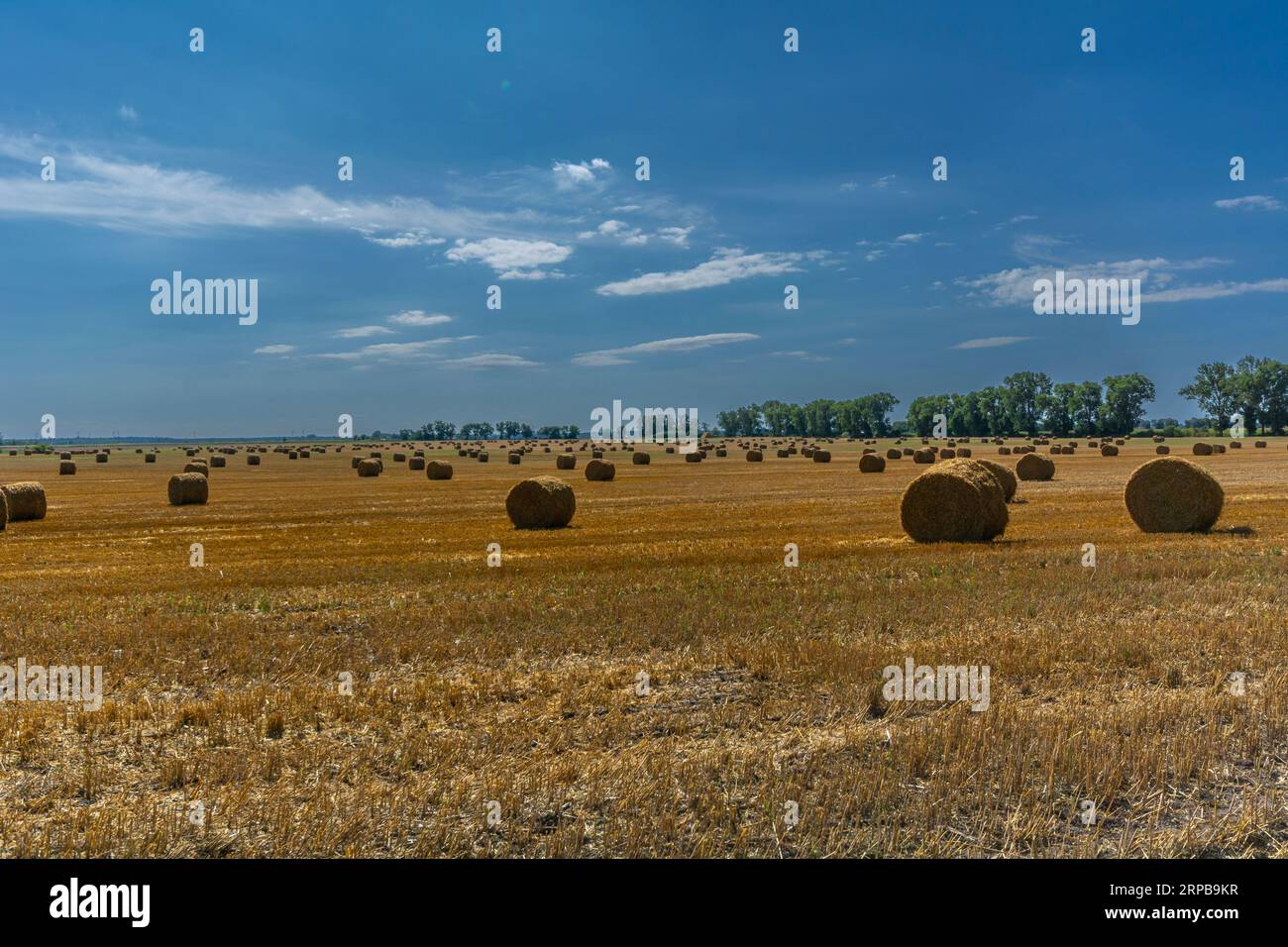 Straw crops hi-res stock photography and images - Alamy