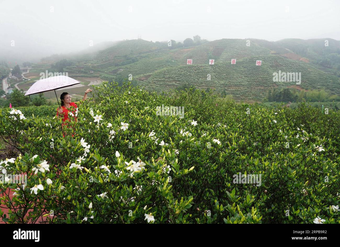 Fuding hi-res stock photography and images - Alamy