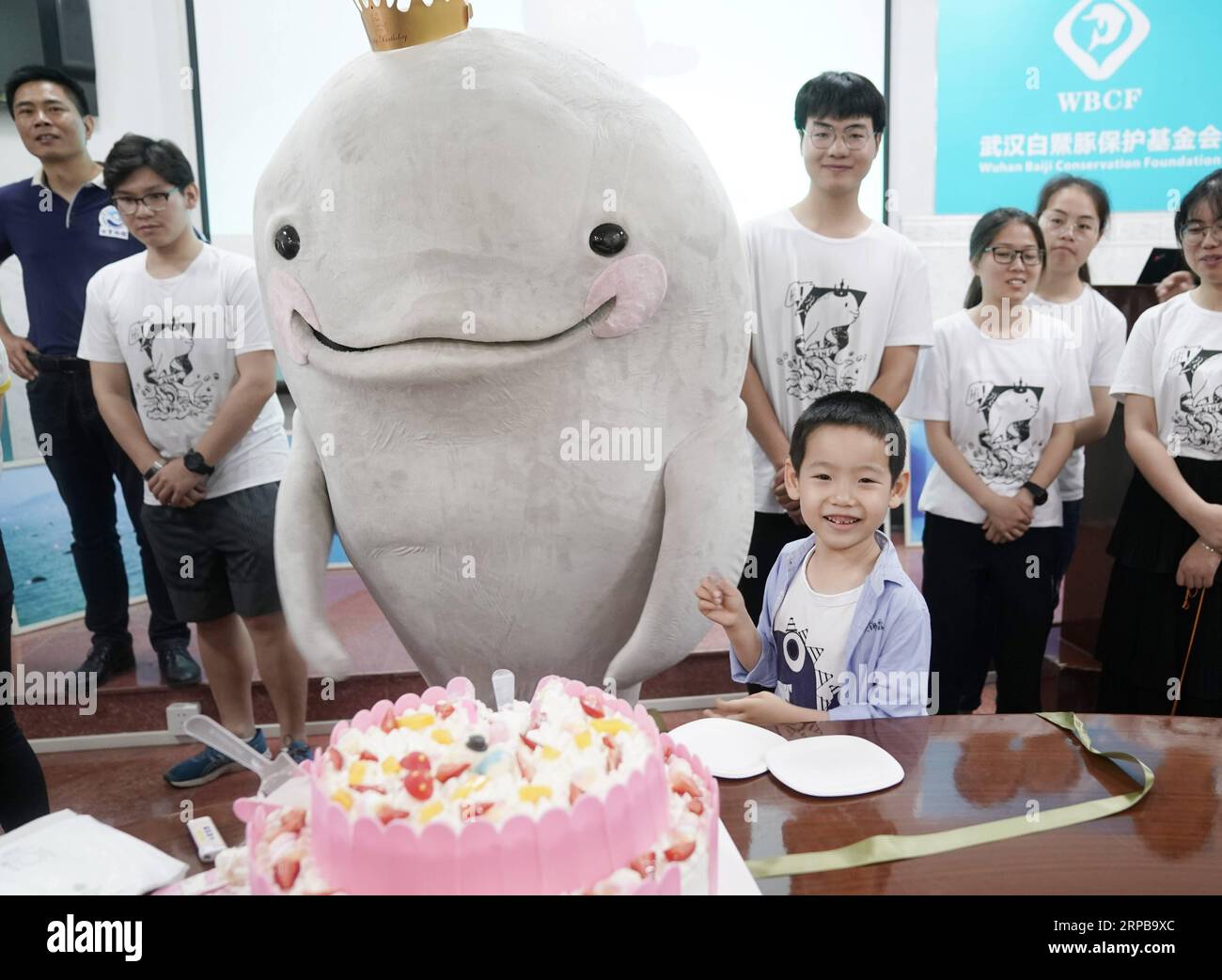 Panda dolphin hi-res stock photography and images - Alamy