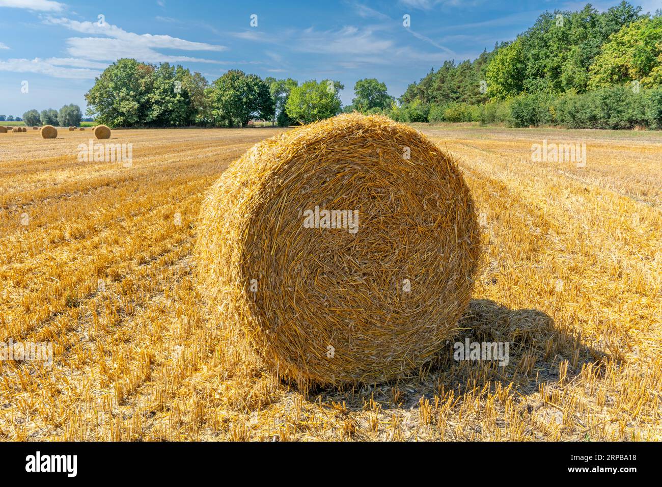 Straw crops hi-res stock photography and images - Alamy