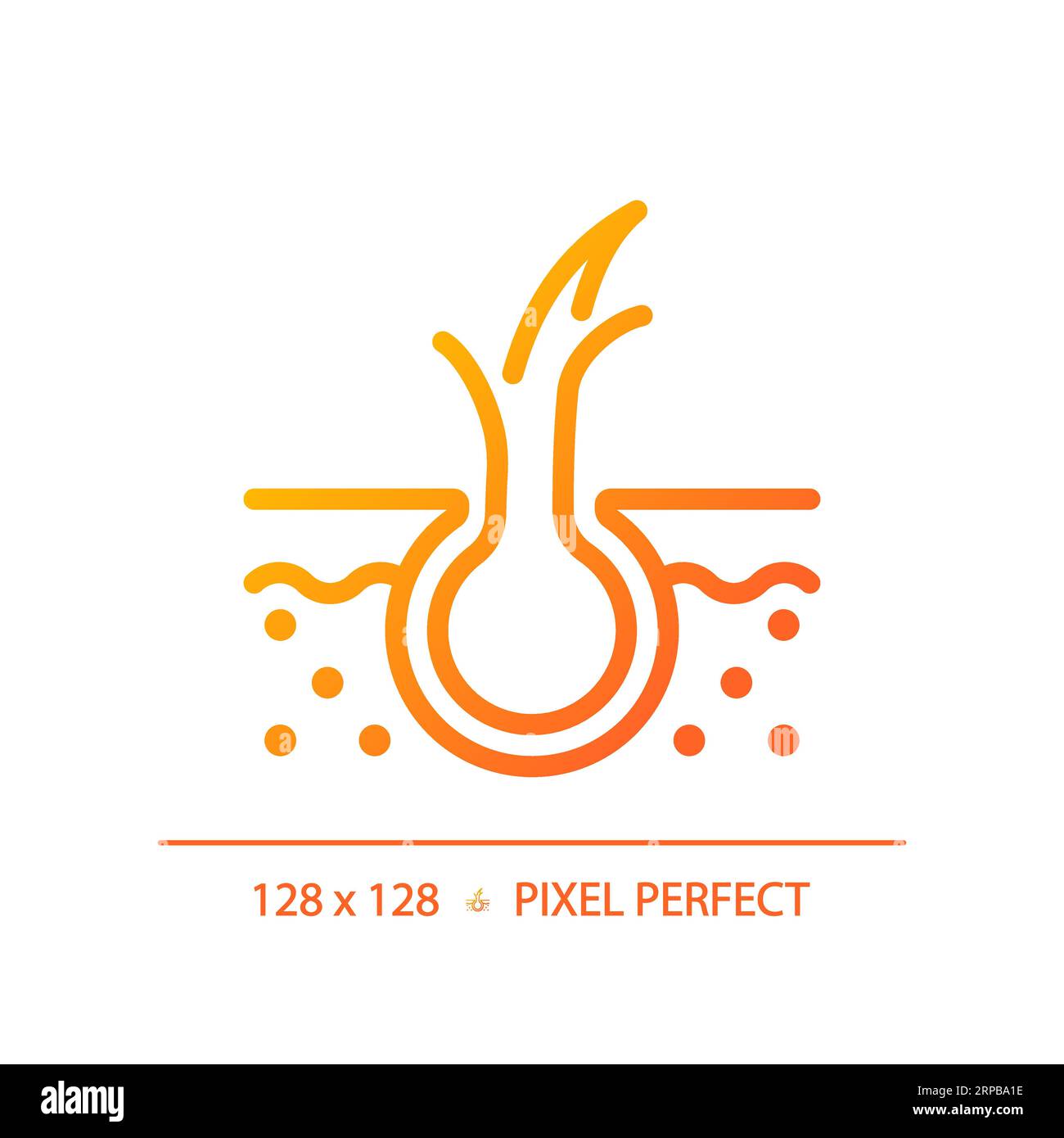 Hair split Cut Out Stock Images & Pictures - Alamy