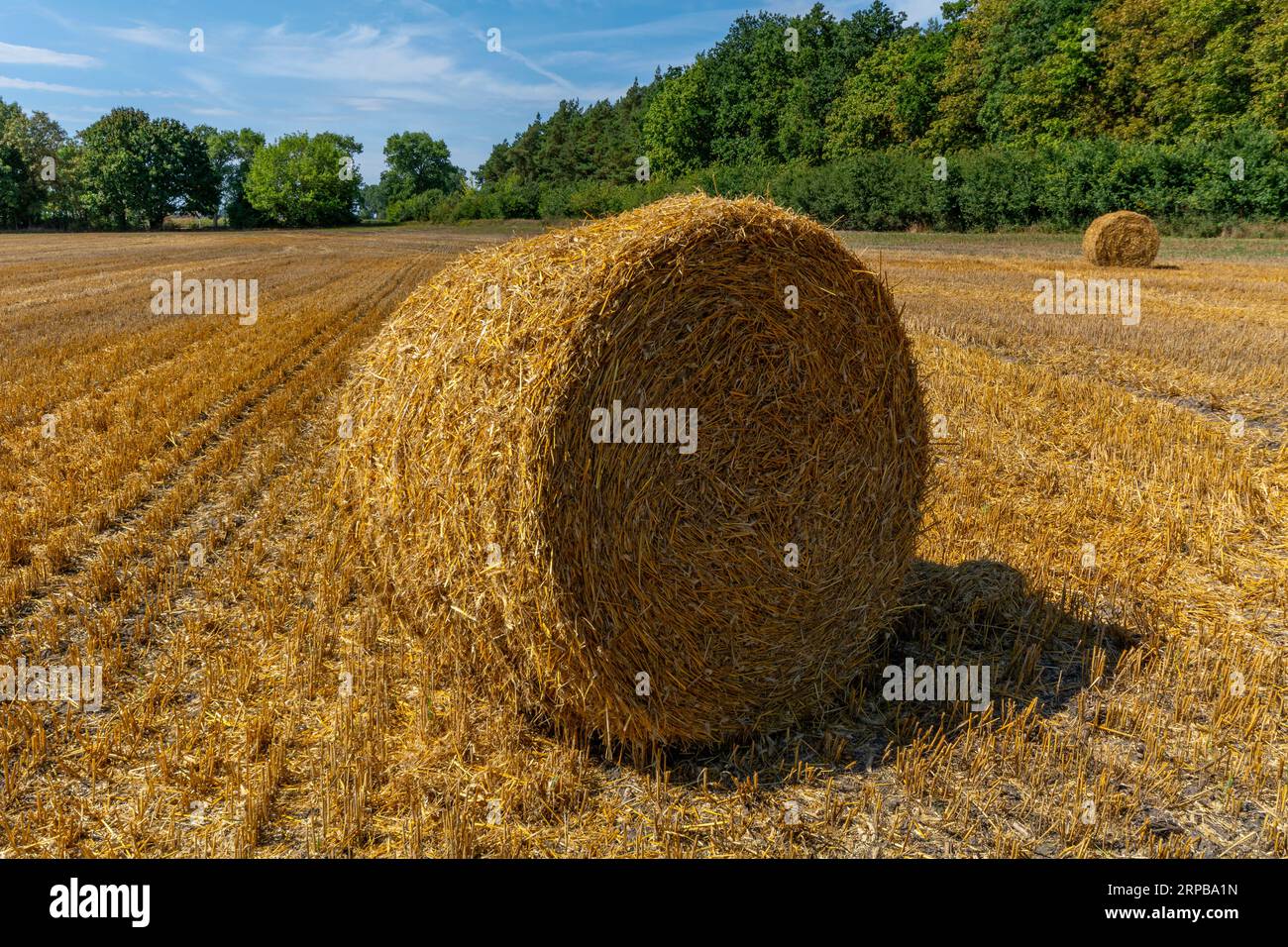 Straw crops hi-res stock photography and images - Alamy