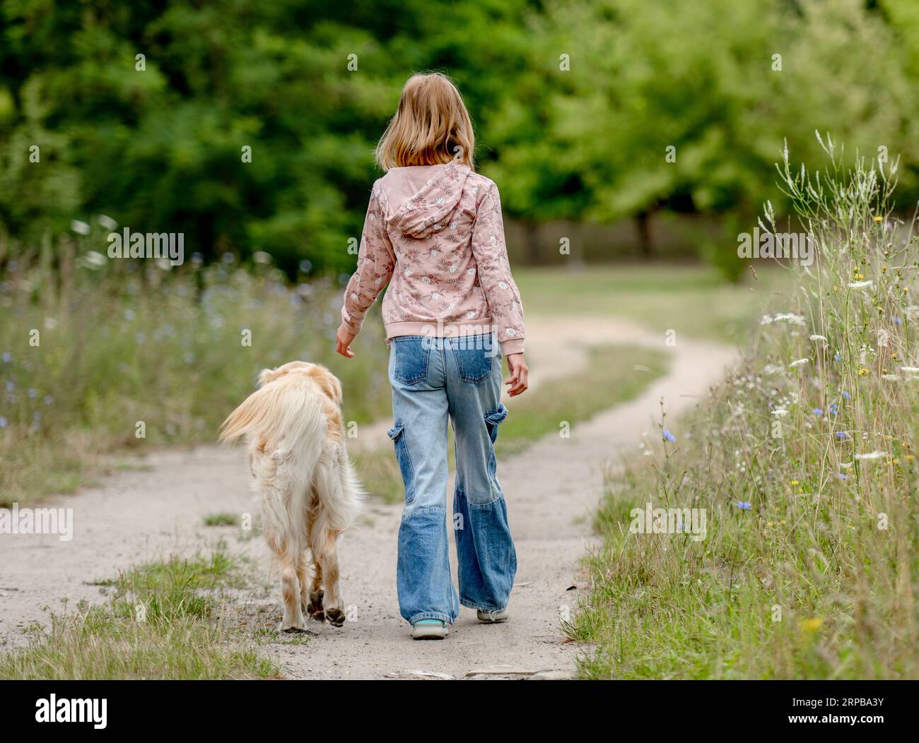 Preteen girl with golden retriever dog walking at nature. Cute child ...