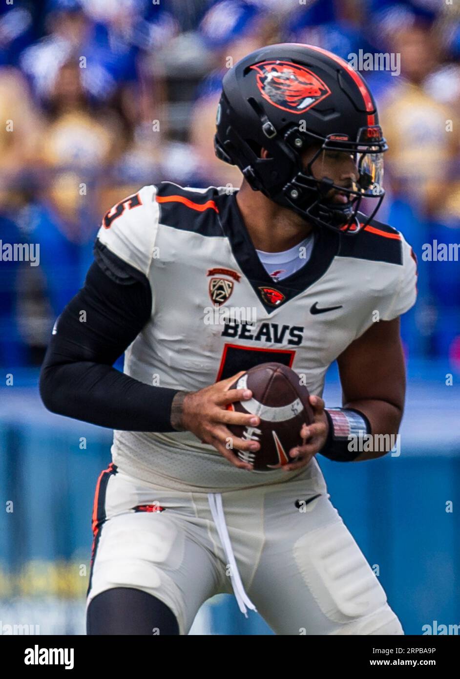 CEFCU Stadium San Jose, CA. 03rd Sep, 2023. San Jose, CA USA Oregon ...