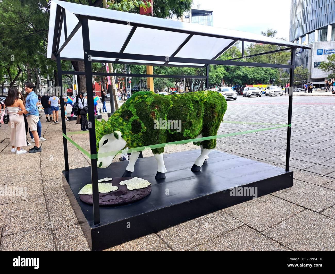 Mexico City, Mexico - August 23, 2023: Cow Parade in Paseo de la ...