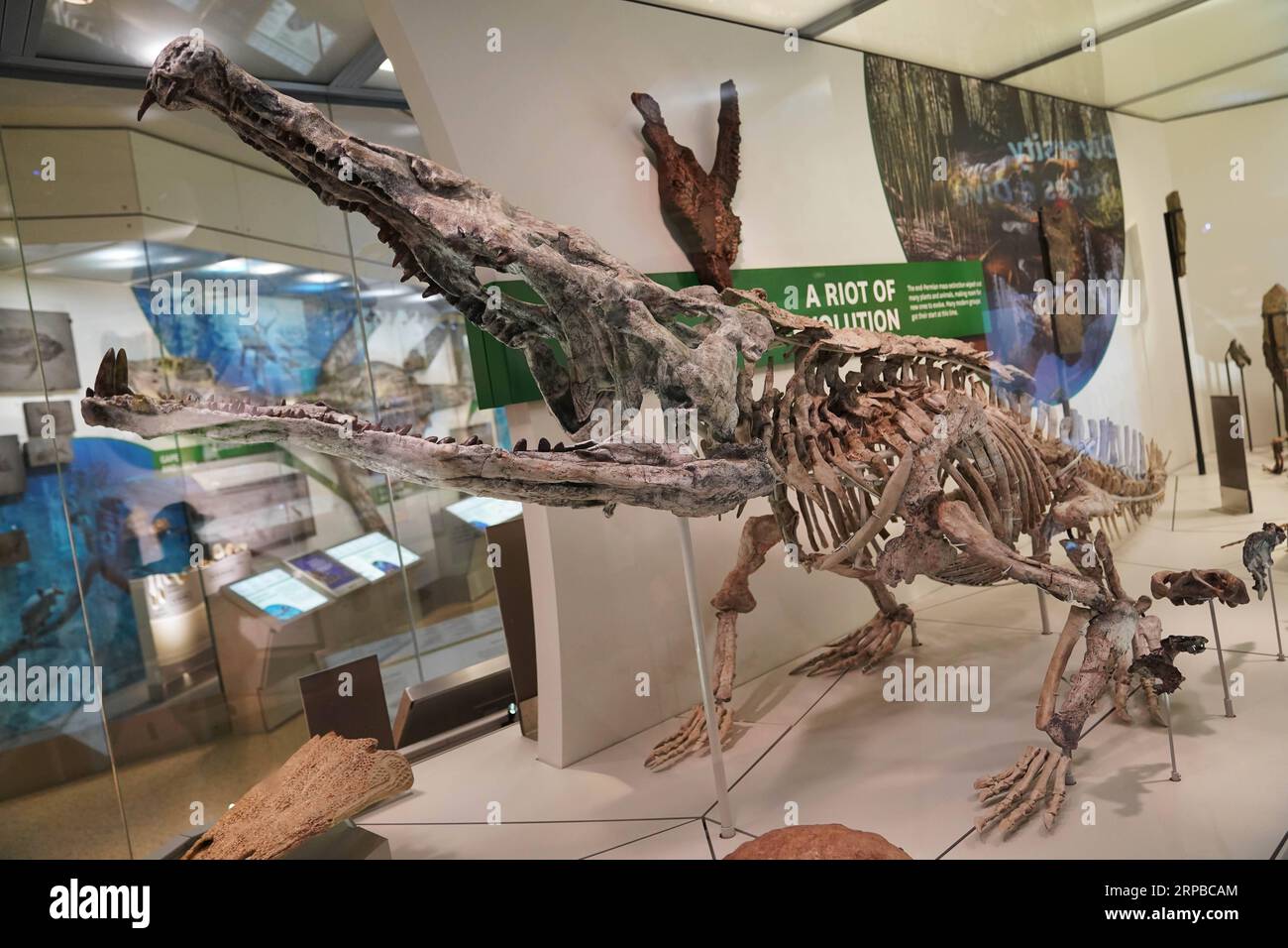 (190604) -- WASHINGTON D.C., June 4, 2019 -- Photo taken on June 4 ...