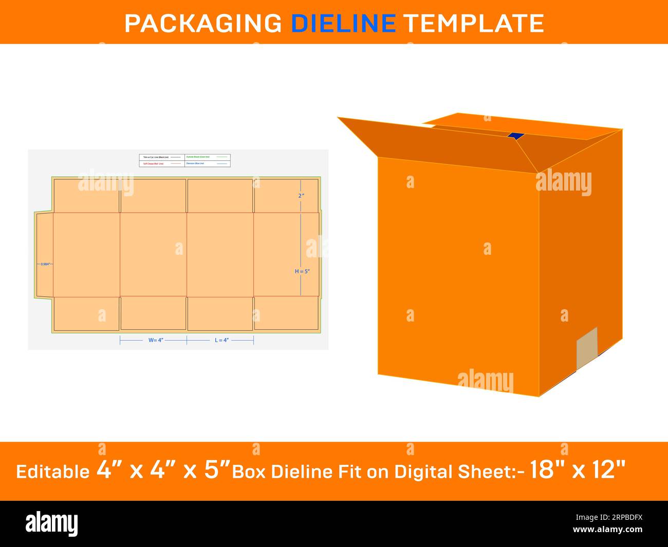 Regular Slotted Container Carton Box, Die line Template, 4x4x5 Stock ...