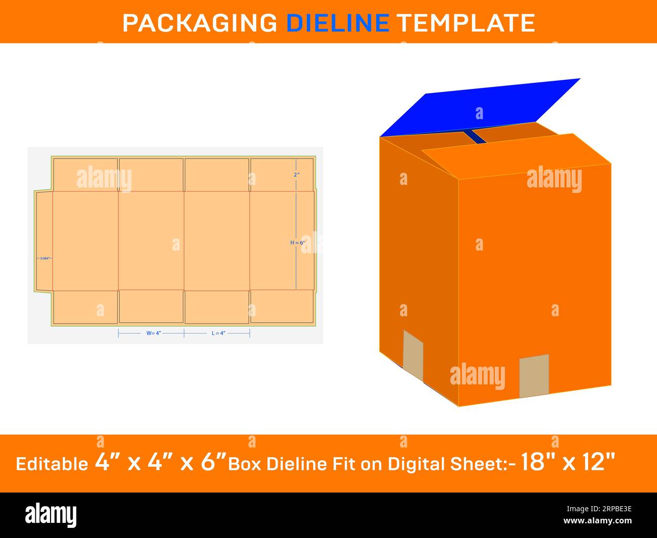 Carton Regular Slotted Container Box, Die line Template, 4x4x6 Stock ...