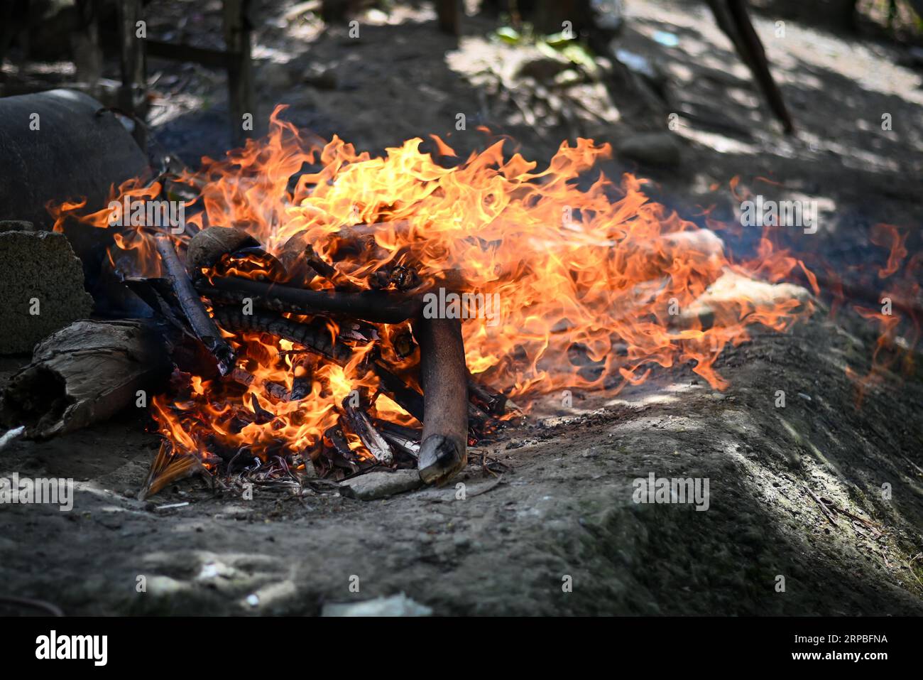 burning dried twigs for cooking Stock Photo - Alamy