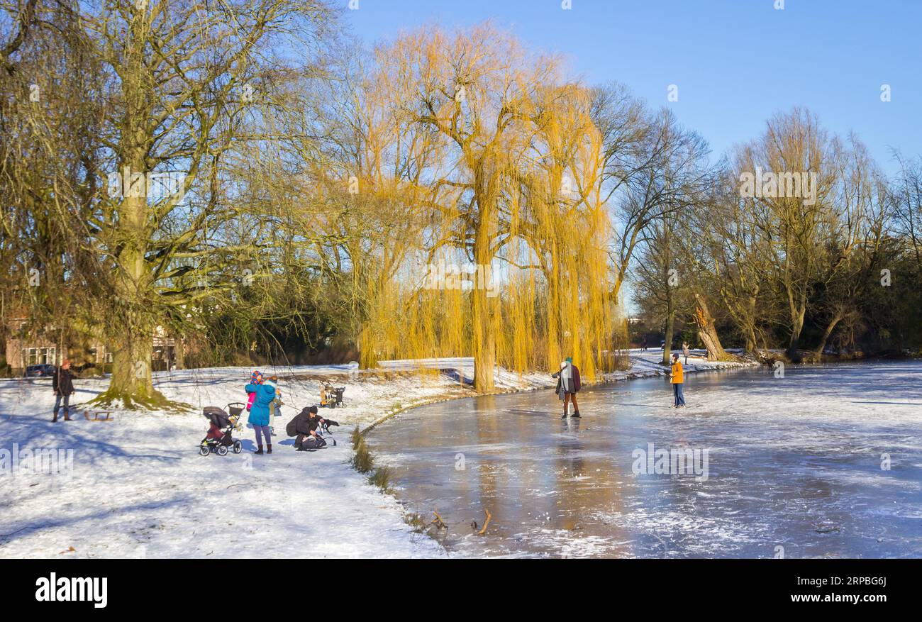 Skaters enjoying the ice in the Noorderplantsoen park in Groningen ...