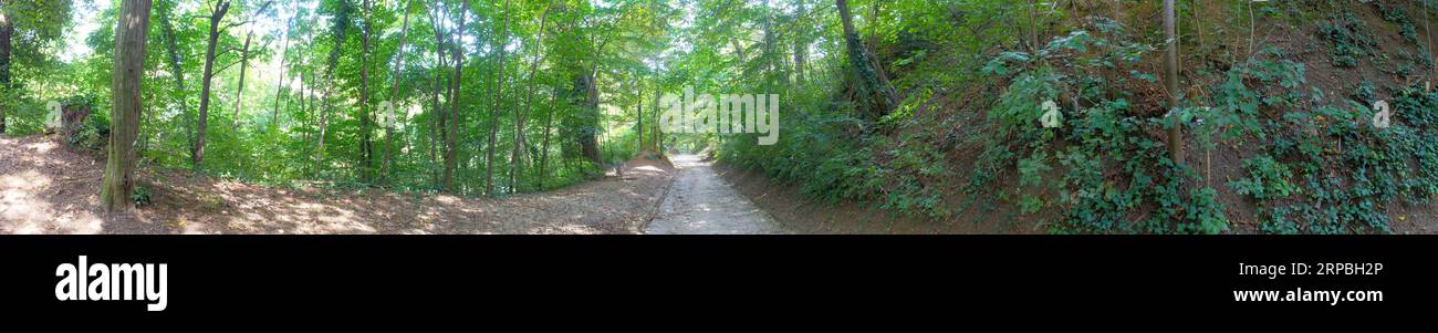 Forrest trail hi-res stock photography and images - Alamy