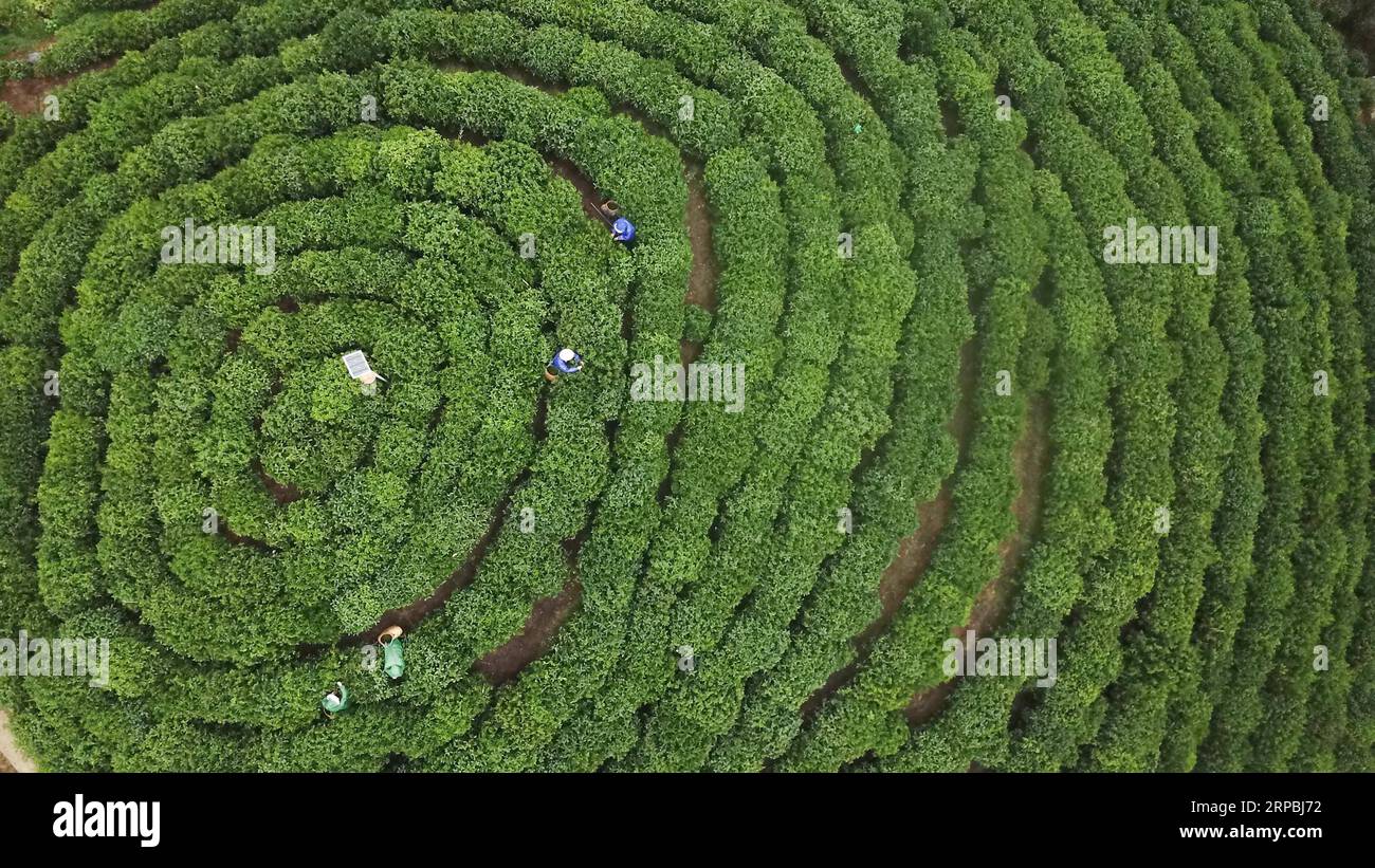 Thebeijing hi-res stock photography and images - Alamy