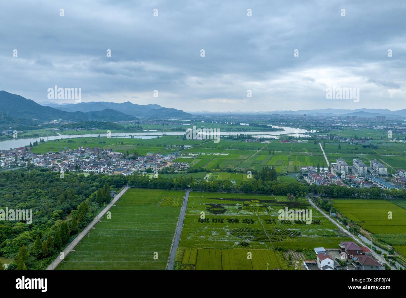 Aerial photo shows the Asian Games themed paintings on a rice field in ...