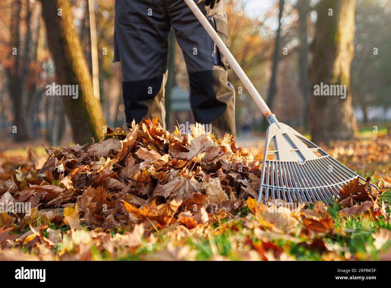 Worker removing foliage rake hi-res stock photography and images - Alamy