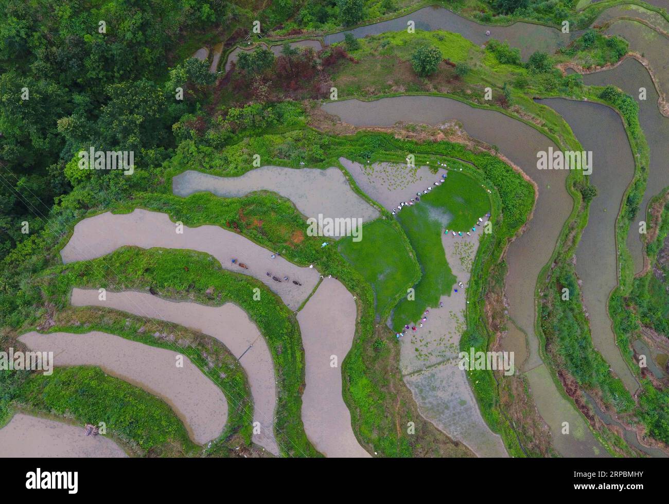 The dali and the cooper hi-res stock photography and images - Alamy