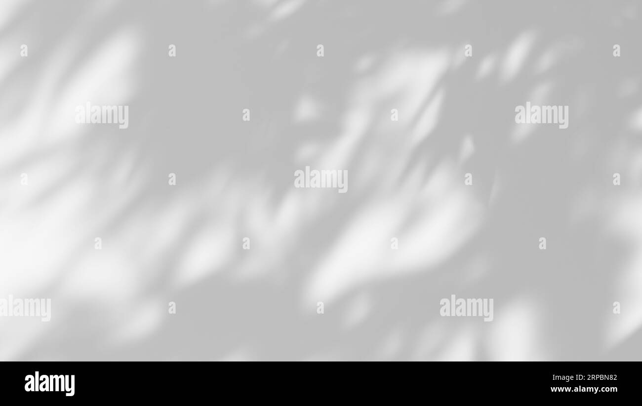 leaf shadow overlay effect. white background with tropical leaves ...