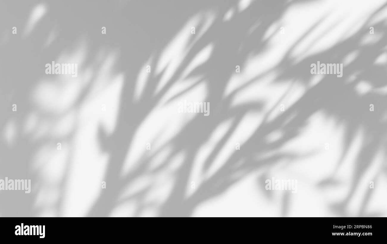 leaf shadow overlay effect. white background with tropical leaves ...