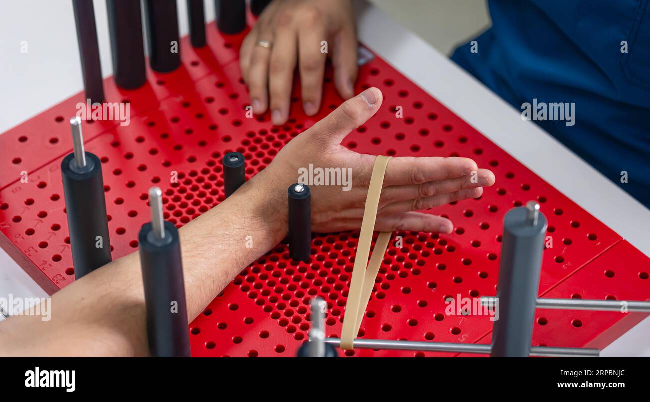 Development of movements of the radial wrist joint on a functional ...