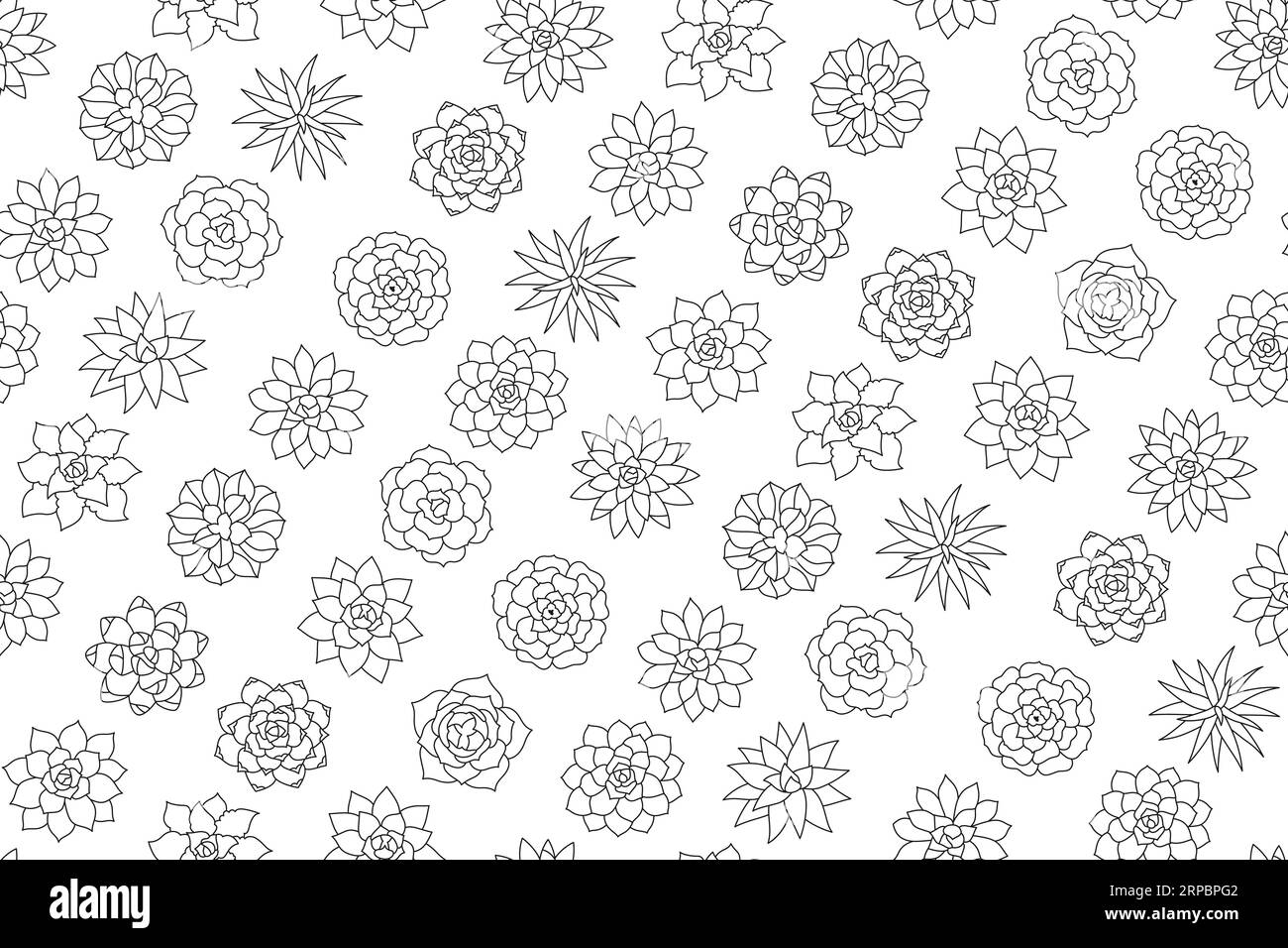 Succulent houseplant doodle seamless pattern. Tropical home plant ...