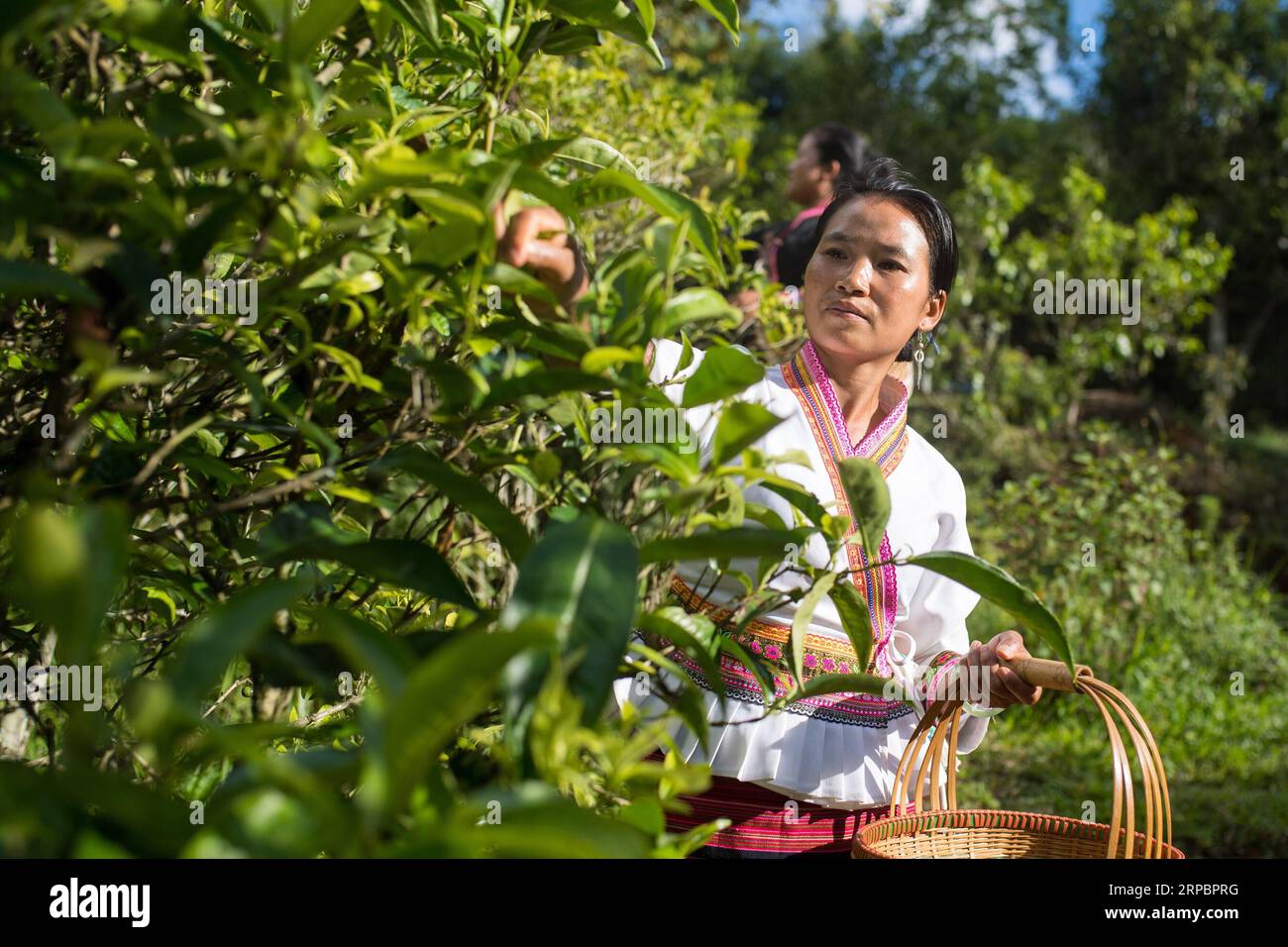 Er chao hi-res stock photography and images - Alamy