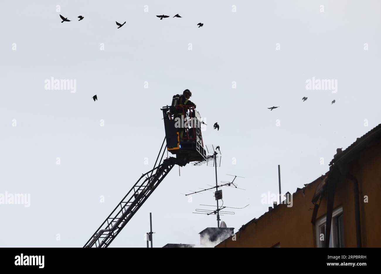 Stegbil hi-res stock photography and images - Alamy