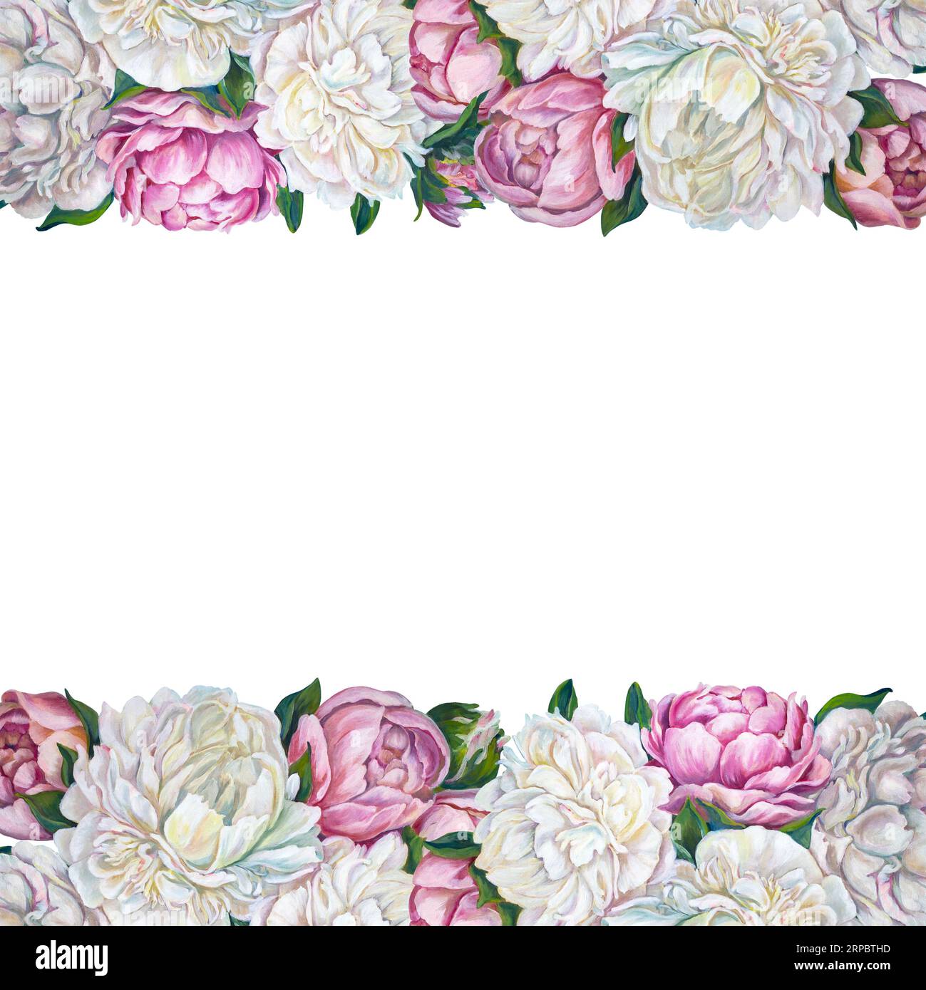 Frame of white and pink peonies. Oil painting. Bouquet of flowers. For ...