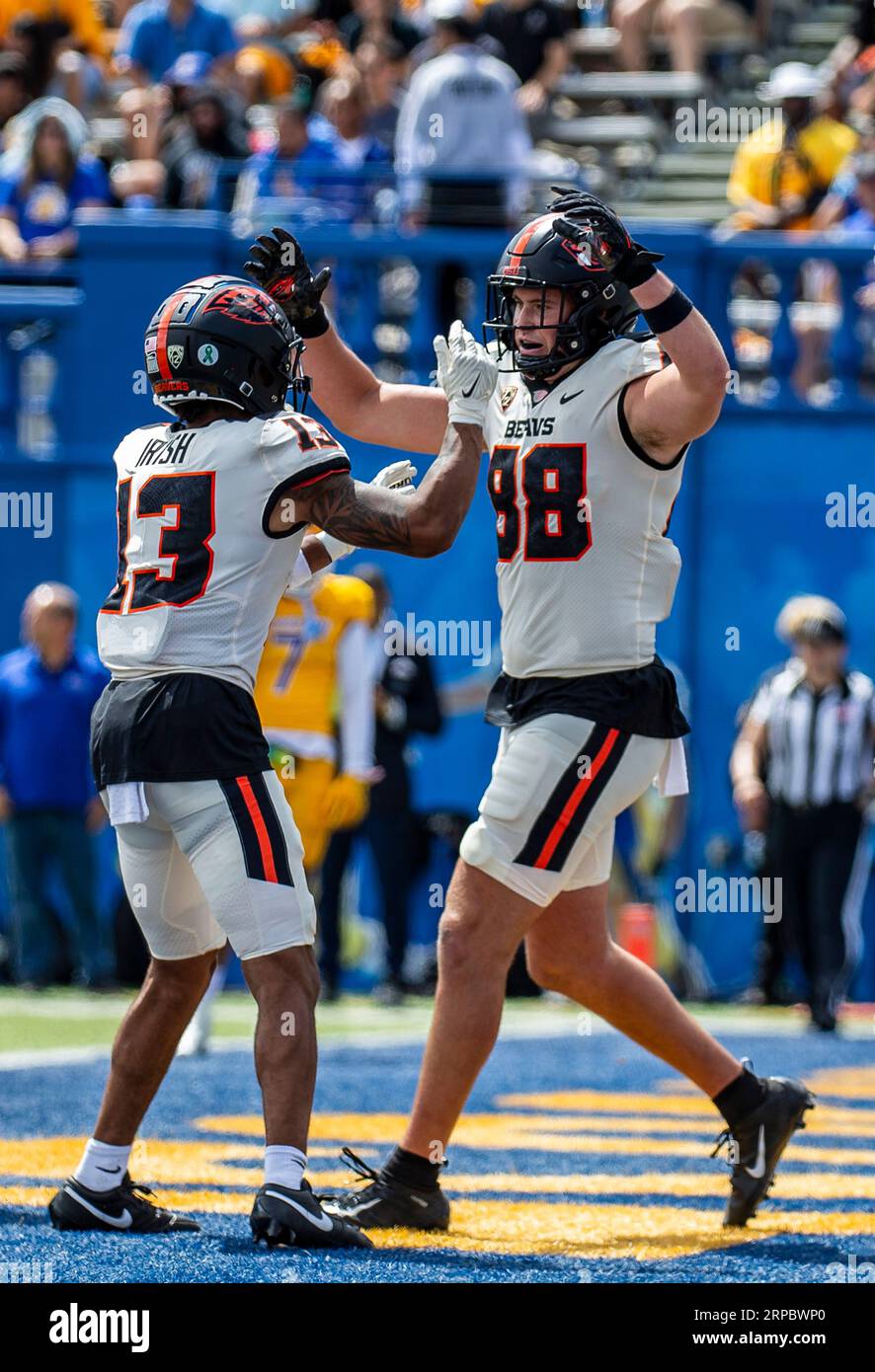 September 03, 2023, San Jose, CA USA Oregon State tight end Jack ...