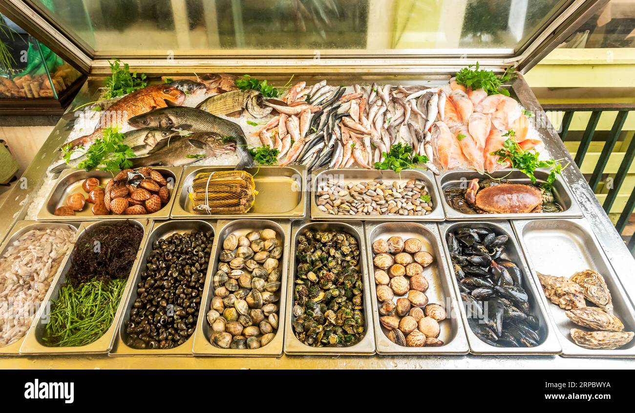 Seafood on ice at the fish market. Fish, shellfish, shrimp, squid, crab ...