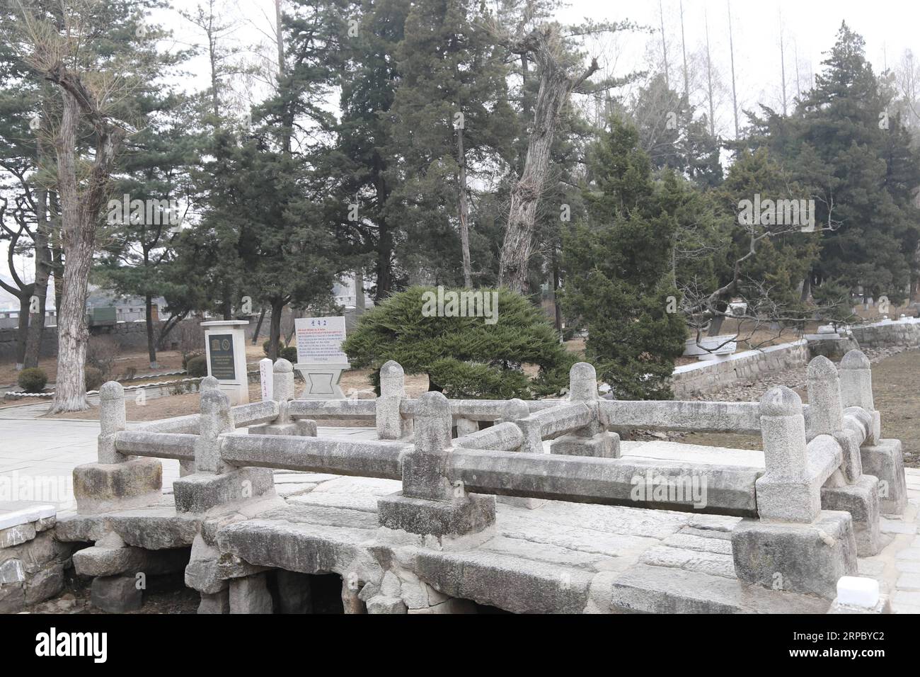 (190619) -- PYONGYANG, June 19, 2019 (Xinhua) -- Photo taken on March 5 ...