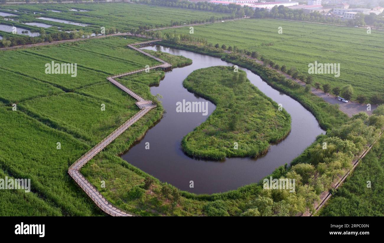 Eijing horticulural hi-res stock photography and images - Alamy