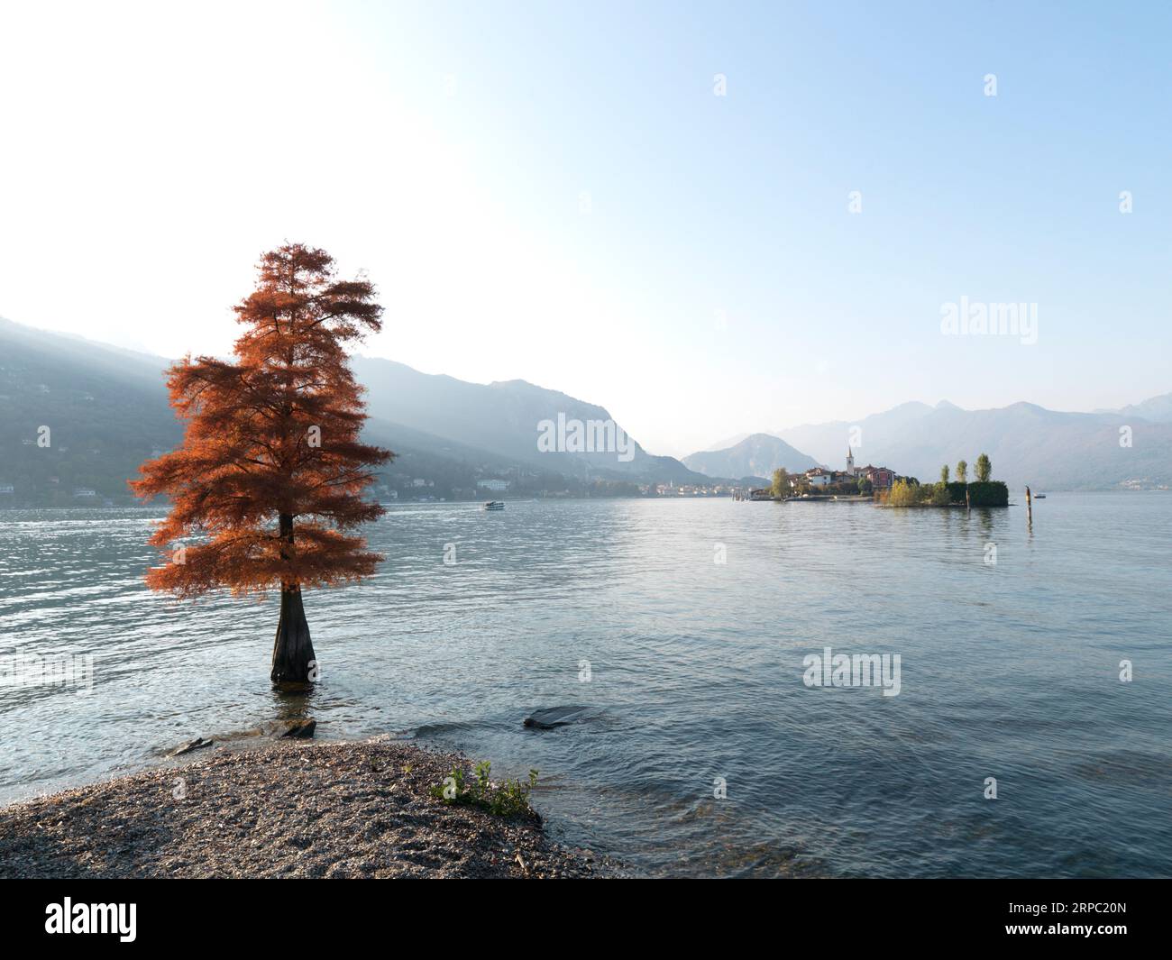 View past tree and Lago Maggiore to Stresa from Isola Bella Stock Photo ...