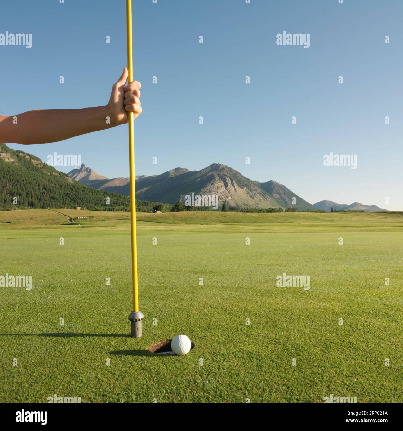 Detail of hand holding flag post at hole with golf ball Stock Photo - Alamy