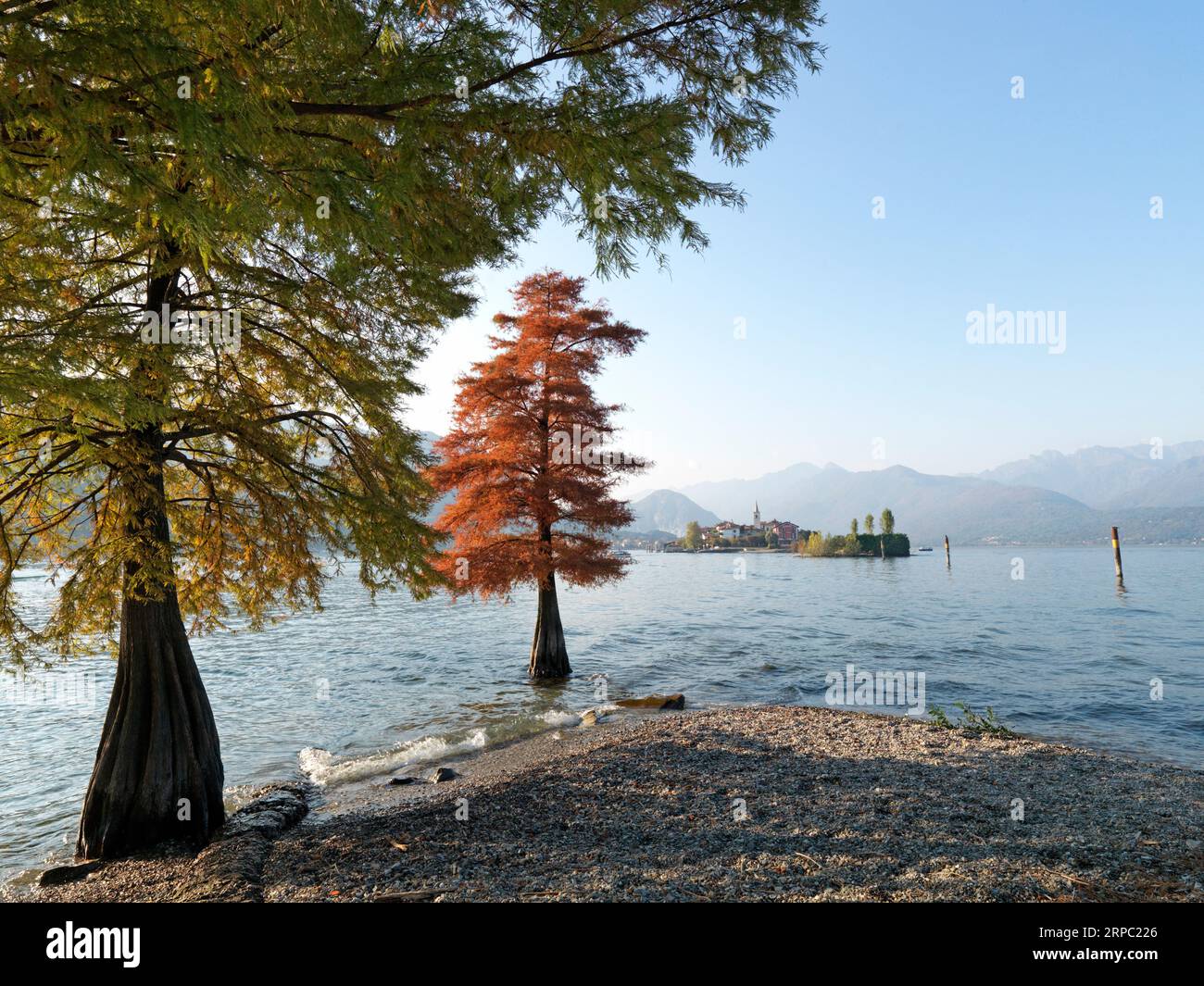 View past tree and Lago Maggiore to Stresa from Isola Bella Stock Photo ...