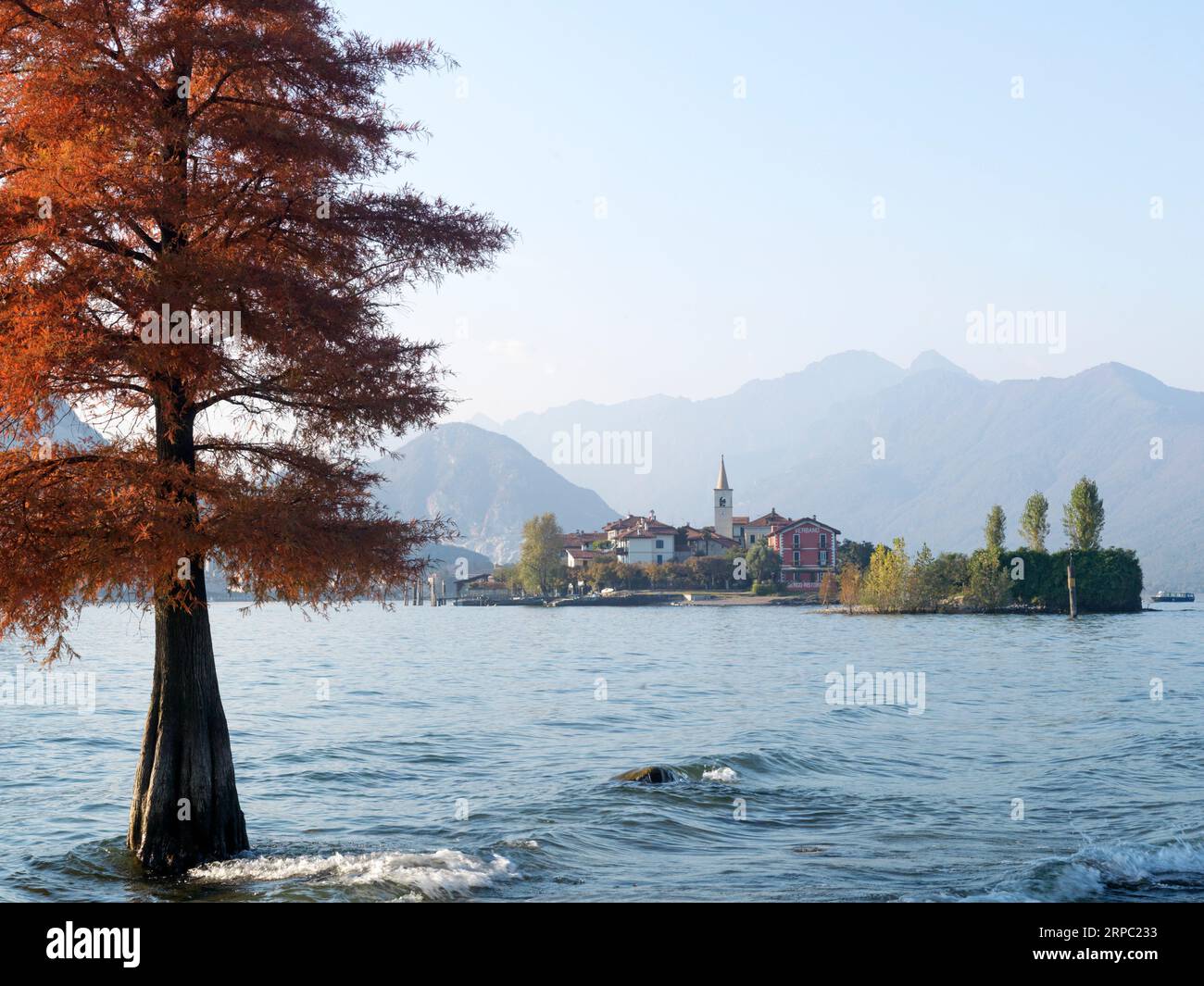 View past tree and Lago Maggiore to Stresa from Isola Bella Stock Photo ...