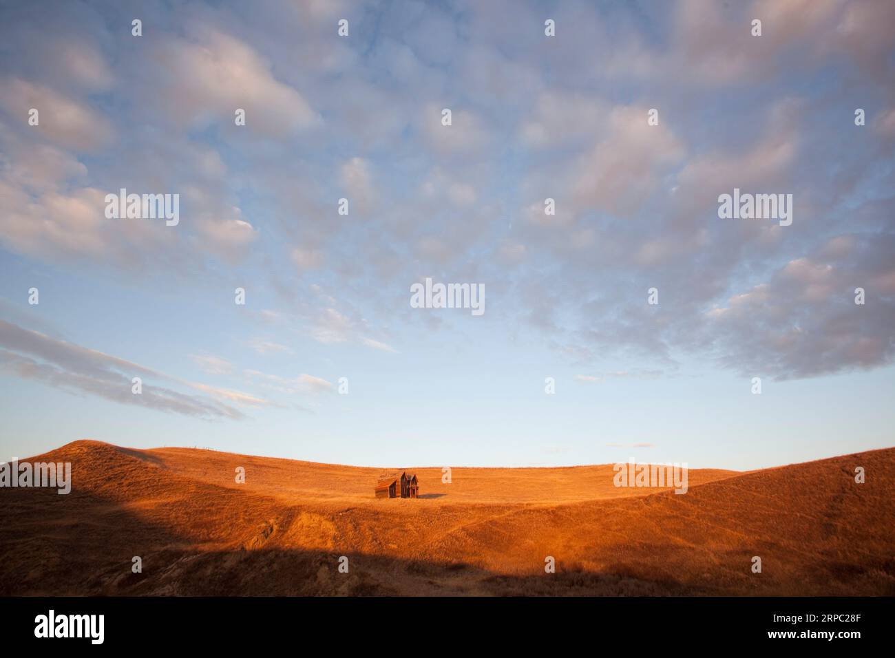 Prairie scene hi-res stock photography and images - Alamy